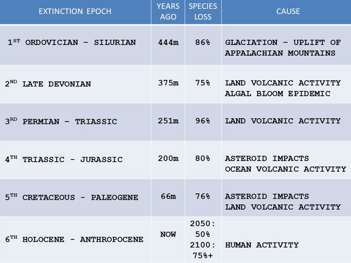 Extinction – It is Real, It is Now, It is Forever - David Marinelli