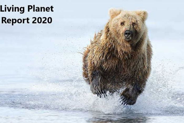 Biological diversity - healthy planet, healthy people - David Marinelli